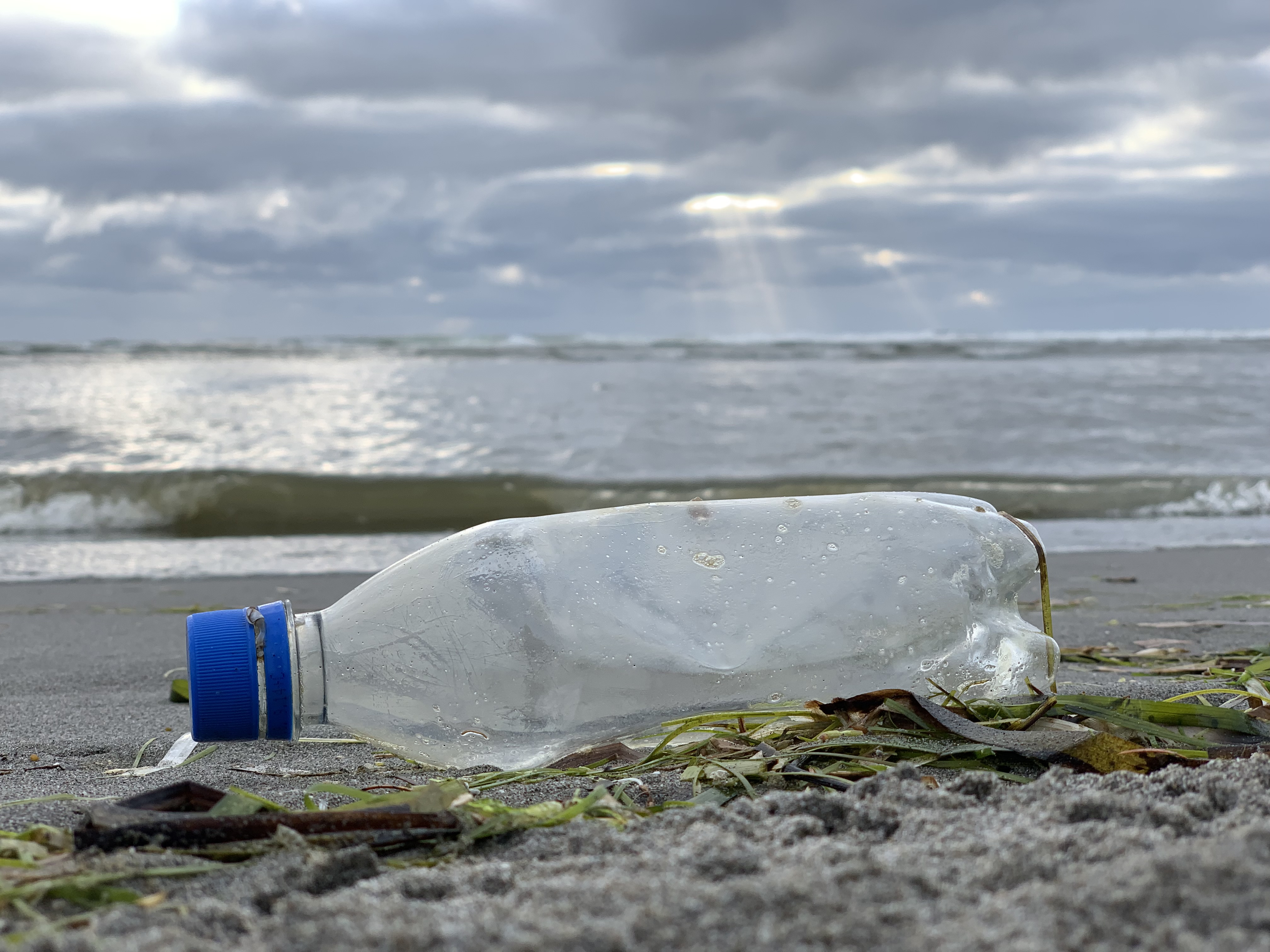 Effects of Ocean Pollution on Marine Life & Humans