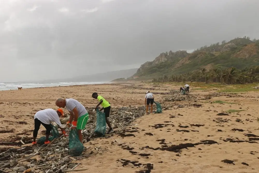 National Cleanup Month Celebration with Ocean Blue Project