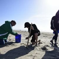 Ocean Blue Cleanup Volunteers | Ocean Blue Project