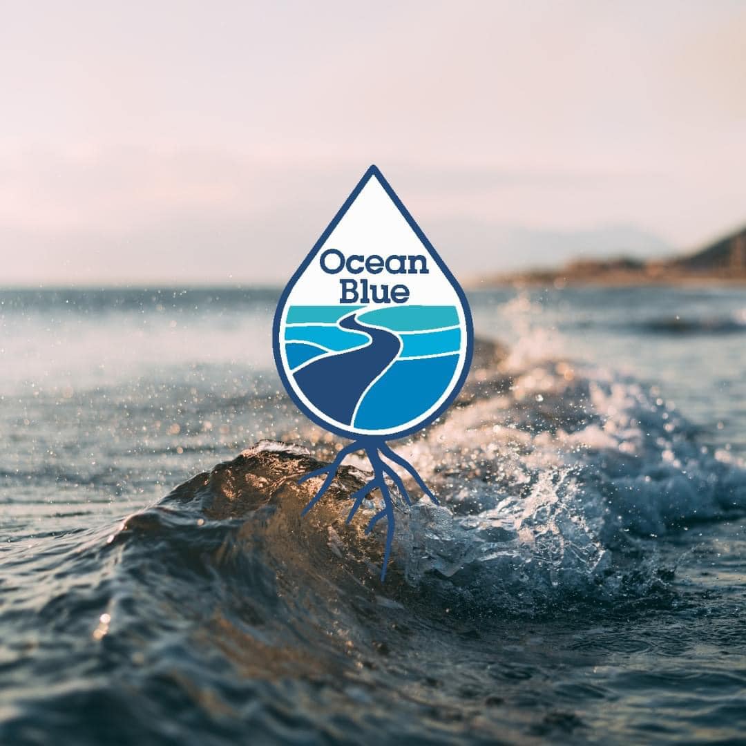 Fun Facts About Marine Wildlife